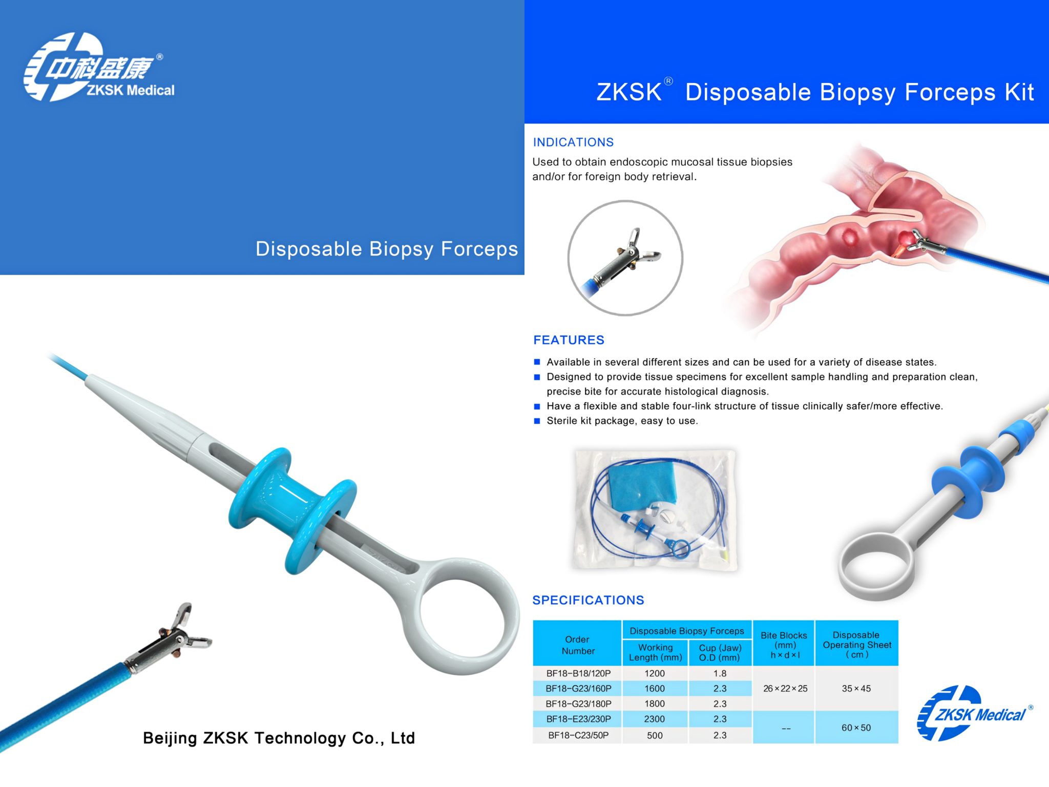 Biopsy With Cold Forceps