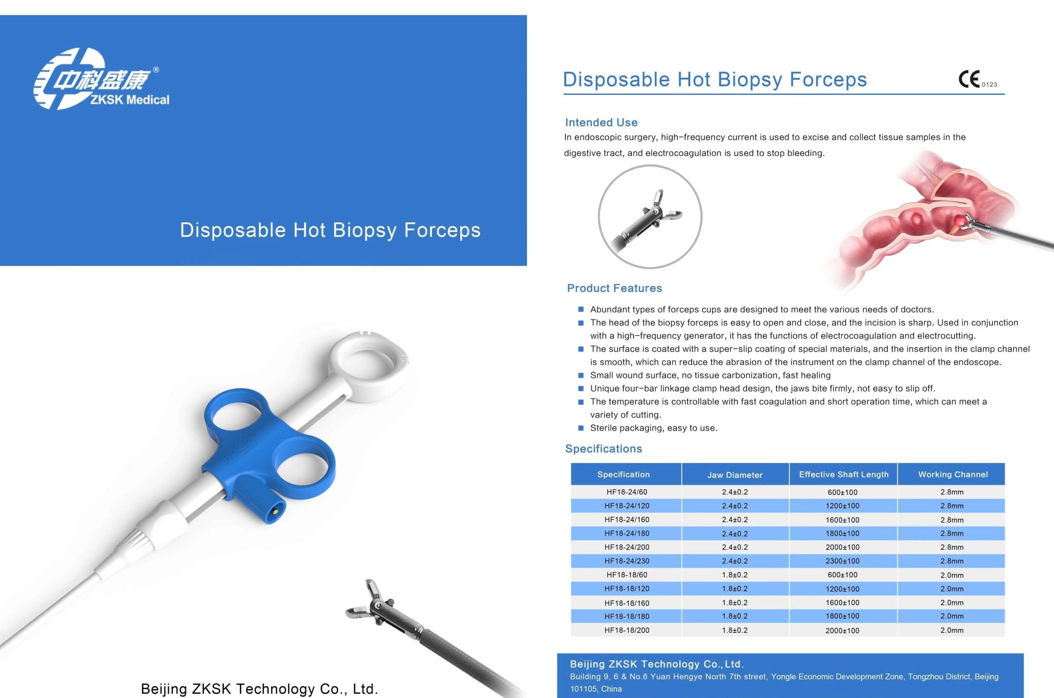 Hot Biopsy Forceps | Talha Enterprise